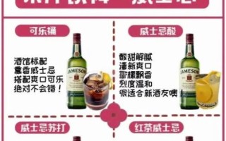 威士忌兑什么饮料好喝_威士忌兑饮料推荐