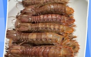 虾爬子怎么保存_虾爬子冷冻还是冷藏