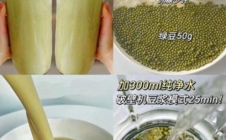 绿豆沙冰怎么做_绿豆沙冰做法窍门