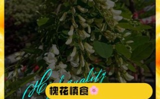 红槐花有毒吗_误食后怎么办