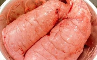 猪肺怎么做好吃_猪肺汤的家常做法