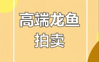 龙鱼价格多少钱一只_龙鱼价格受哪些因素影响