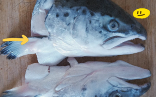 三文鱼鱼头怎么做好吃_三文鱼鱼头汤的做法