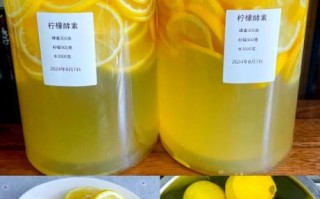 柠檬酵素的做法_柠檬酵素怎么保存