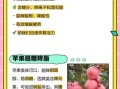 苹果的营养价值有哪些_吃苹果能减肥吗