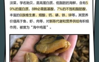 新鲜淡菜怎么清洗_淡菜去沙最快的方法