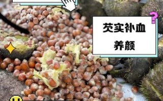 芡实吃了有什么好处和坏处_芡实适合什么人吃