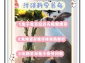 苜蓿草怎么喂兔子_苜蓿草可以天天喂吗