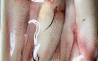 水潺鱼的营养价值_水潺鱼的功效与作用