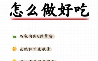 乌龟怎么吃法_乌龟怎么吃才安全