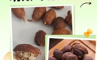 草果的功效与作用_草果怎么吃好