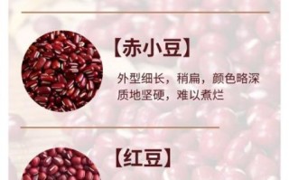 赤小豆和红豆的区别_赤小豆和红豆的功效一样吗
