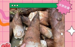 新鲜竹笋怎么处理才能马上吃_竹笋去涩最快方法