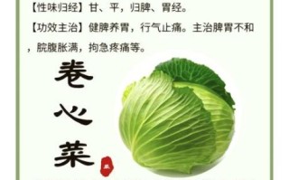 蔬菜汤包有营养吗_蔬菜汤包热量高吗