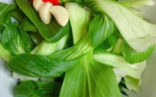 小油菜怎么炒好吃_小油菜的做法大全家常做法