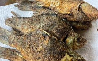 煎鲫鱼不破皮的方法_煎鲫鱼用热油还是冷油