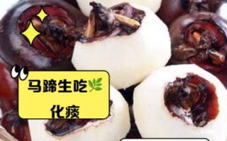 马蹄的功效与作用禁忌_荸荠要煮多久