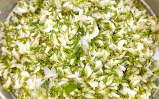 槐花怎么蒸着吃好吃_槐花蒸多久才软糯