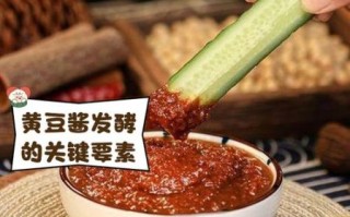 黄豆酱简易做法_家庭自制黄豆酱怎么做