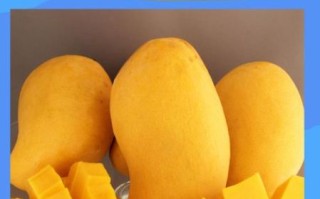 孕妇可以吃芒果吗初期_怀孕前三个月吃芒果安全吗