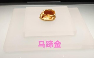 马蹄金价格多少钱一斤_马蹄金价格行情最新走势
