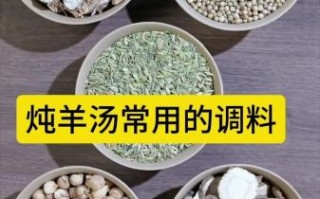 炖羊排放什么调料_炖羊排去膻必备香料