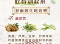 谷雨吃什么传统食物_谷雨养生吃什么好