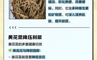 黄花菜有什么营养价值_黄花菜的药用价值有哪些