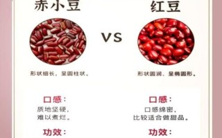 赤豆长什么样_赤豆和红豆的区别