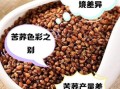 荞麦和苦荞有什么区别_苦荞和荞麦哪个更好