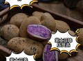 紫土豆的营养价值_紫土豆怎么做好吃