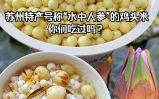 鸡头米多少钱一斤_鸡头米怎么做好吃