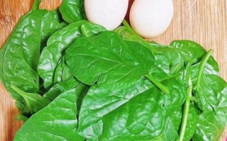 木耳菜怎么炒好吃_木耳菜的做法大全家常饭