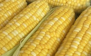 水果玉米怎么煮好吃_水果玉米的家常做法