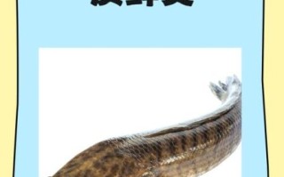 黑鱼有刺吗_黑鱼刺多不多