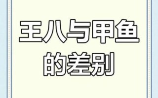 王八和乌龟的区别_王八是乌龟吗