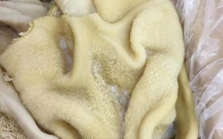 生牛肚怎么煮_熟牛肚多久能软烂