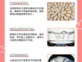 速冻饺子怎么煮不破_煮饺子不破皮的小窍门