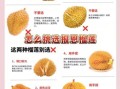 榴莲怎么挑选好吃_榴莲怎么判断熟没熟
