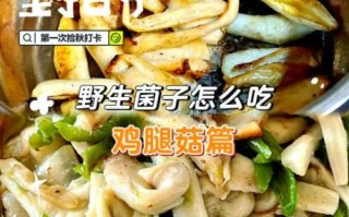 小鸡腿菇怎么炒好吃_小鸡腿菇的家常做法
