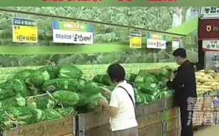 韩国菜价为什么暴涨_韩国蔬菜价格最新行情