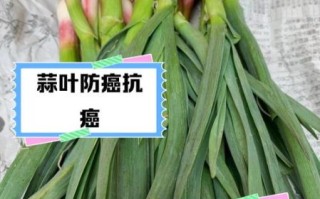 大蒜叶的功效与作用_大蒜叶的害处有哪些