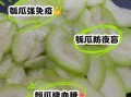 瓠子瓜有毒吗_瓠子瓜中毒症状
