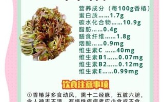 香椿芽的功效与作用_香椿芽怎么吃最营养