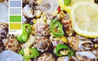 冰镇花螺怎么做_冰镇花螺要焯水吗