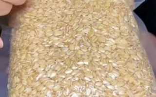 生燕麦煮之前要泡吗_生燕麦片怎么煮才软糯