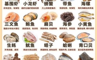 常吃的海鲜有哪些_如何挑选最新鲜的海产