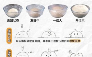 面粉怎么发酵_发酵需要多久