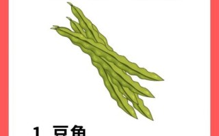 女性吃什么对卵巢好_保养卵巢的食物有哪些