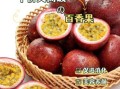 百香果一天吃几个最好_百香果吃多了会怎样